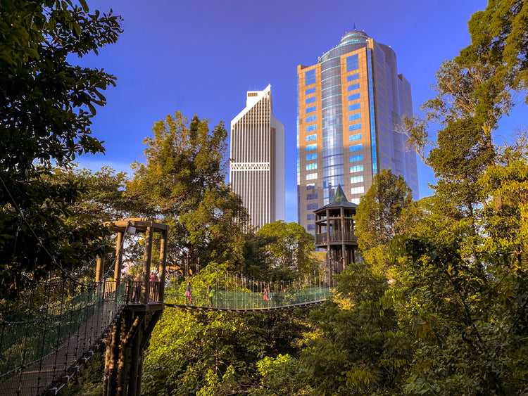 Canopy Walk di tengah Hutan di Kuala Lumpur – Rarecation